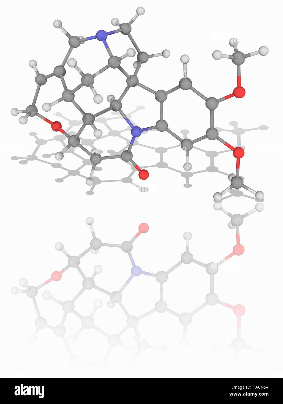 Brucine. Molecular model of the alkaloid brucine (C23.H26.N2.O4), a ...