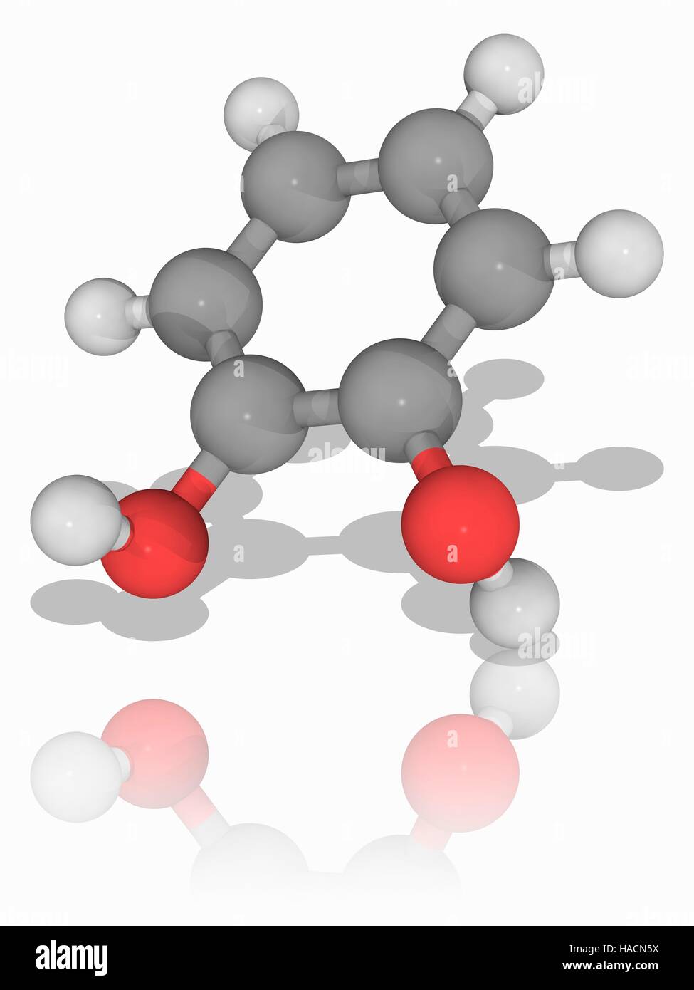 Catechol. Molecular model of the aromatic organic compound catechol (C6 ...
