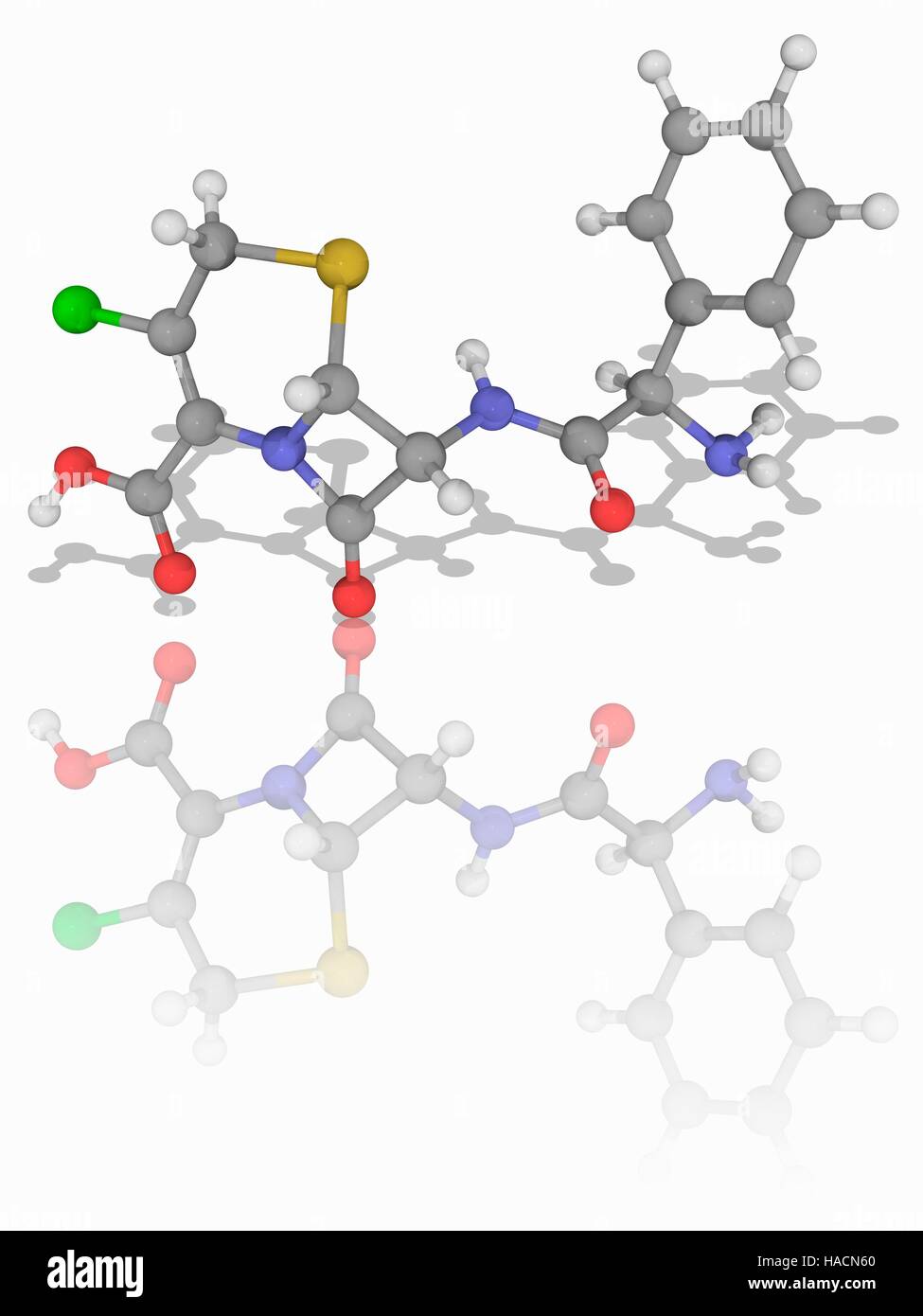 Cefaclor. Molecular model of the antibiotic drug cefaclor (C15.H14.Cl ...