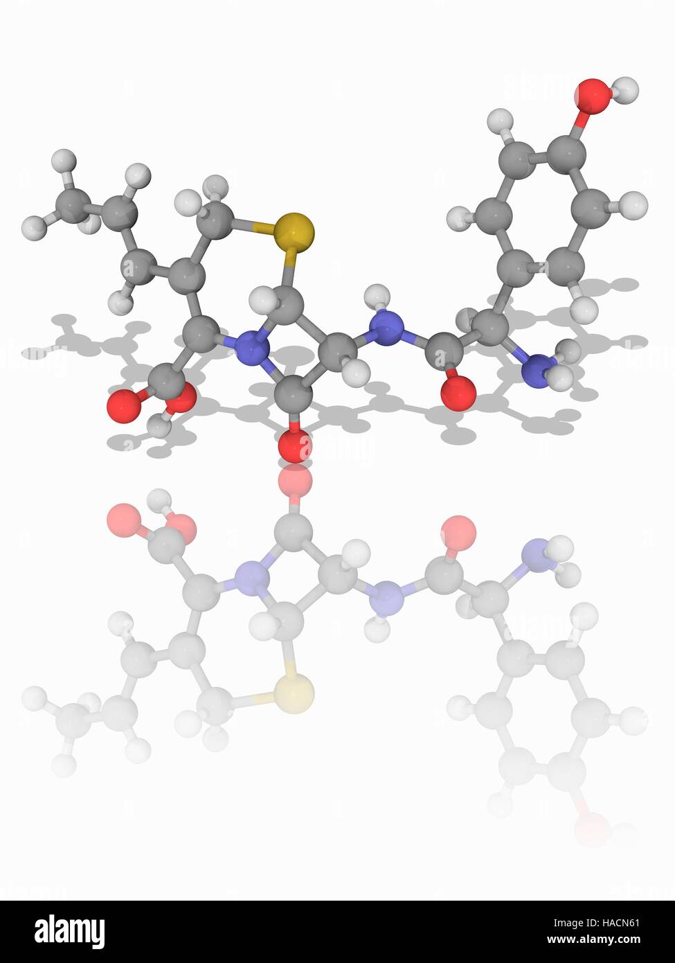 Cefprozil. Molecular model of the antibiotic drug cefprozil (C18.H19.N3 ...
