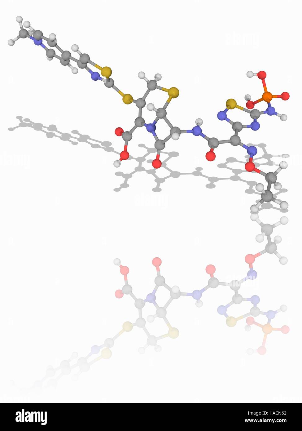 Cephalosporin antibiotic hi-res stock photography and images - Alamy