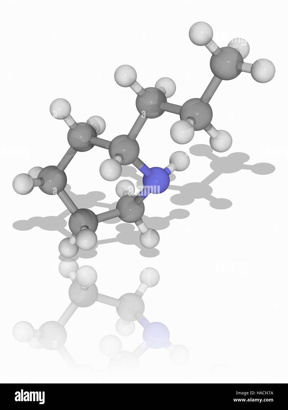 Coniine molecule Cut Out Stock Images & Pictures - Alamy