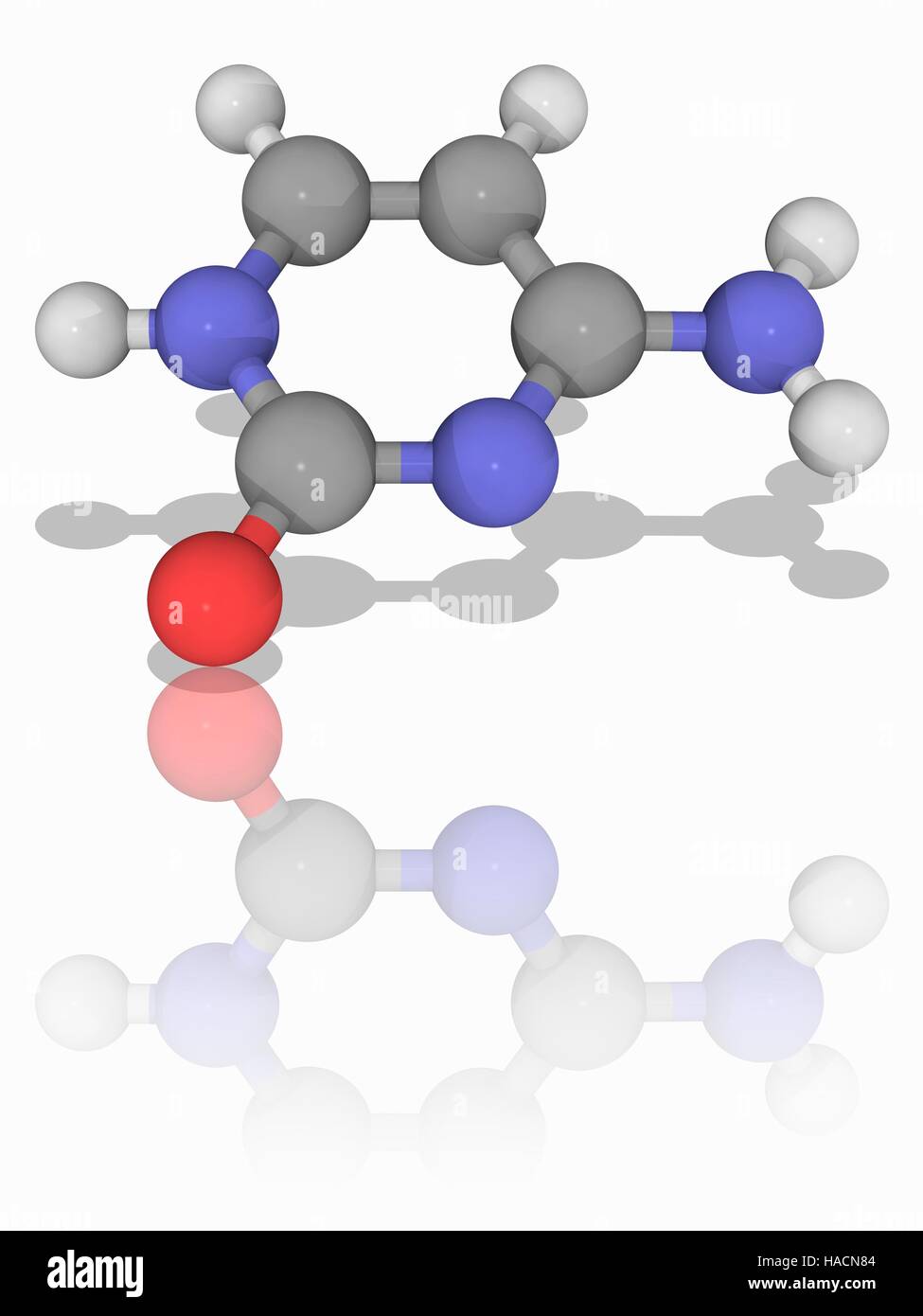 Nucleobase hi-res stock photography and images - Alamy