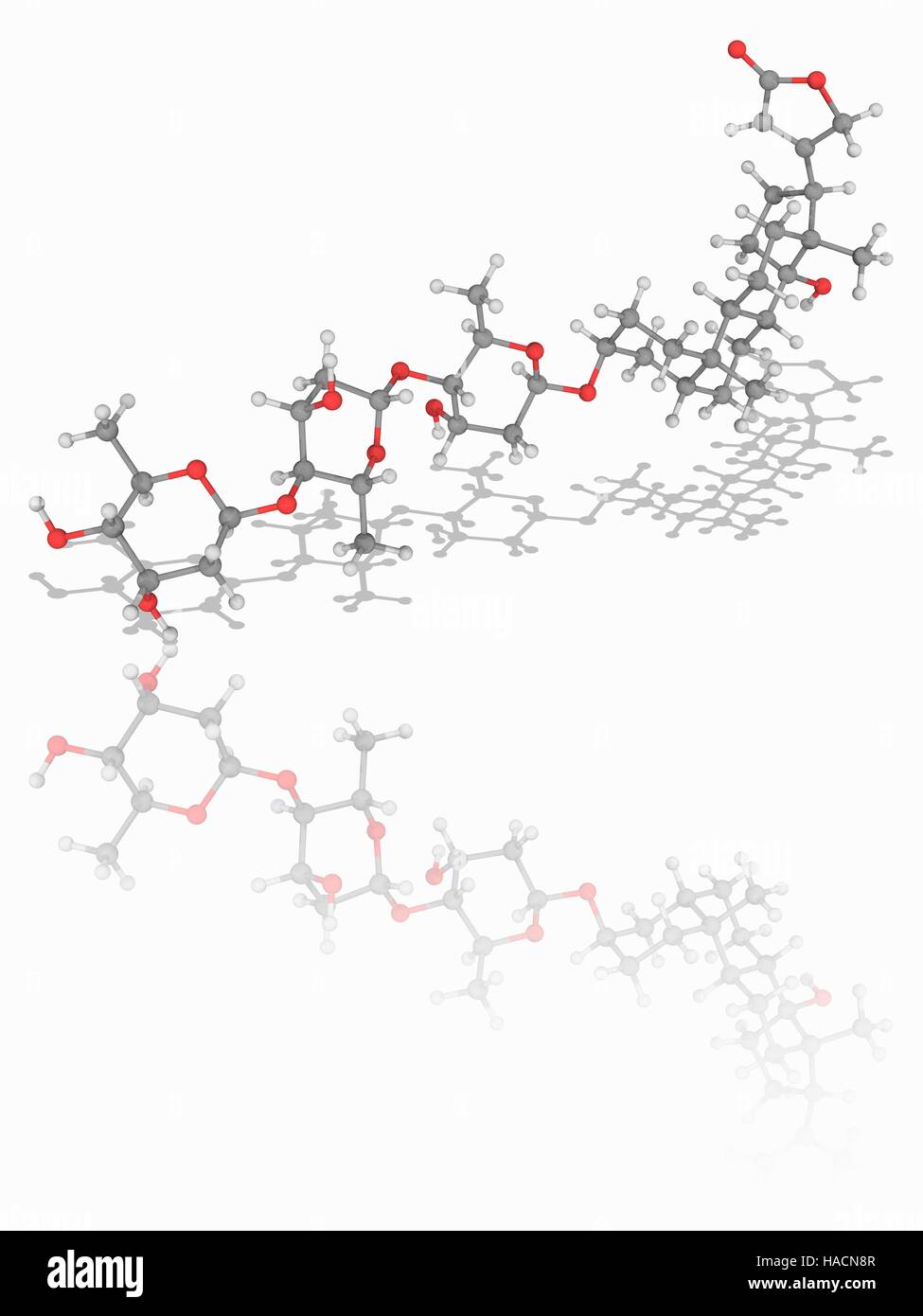 Digitoxin. Molecular model of the cardiac glycoside chemical digitoxin ...