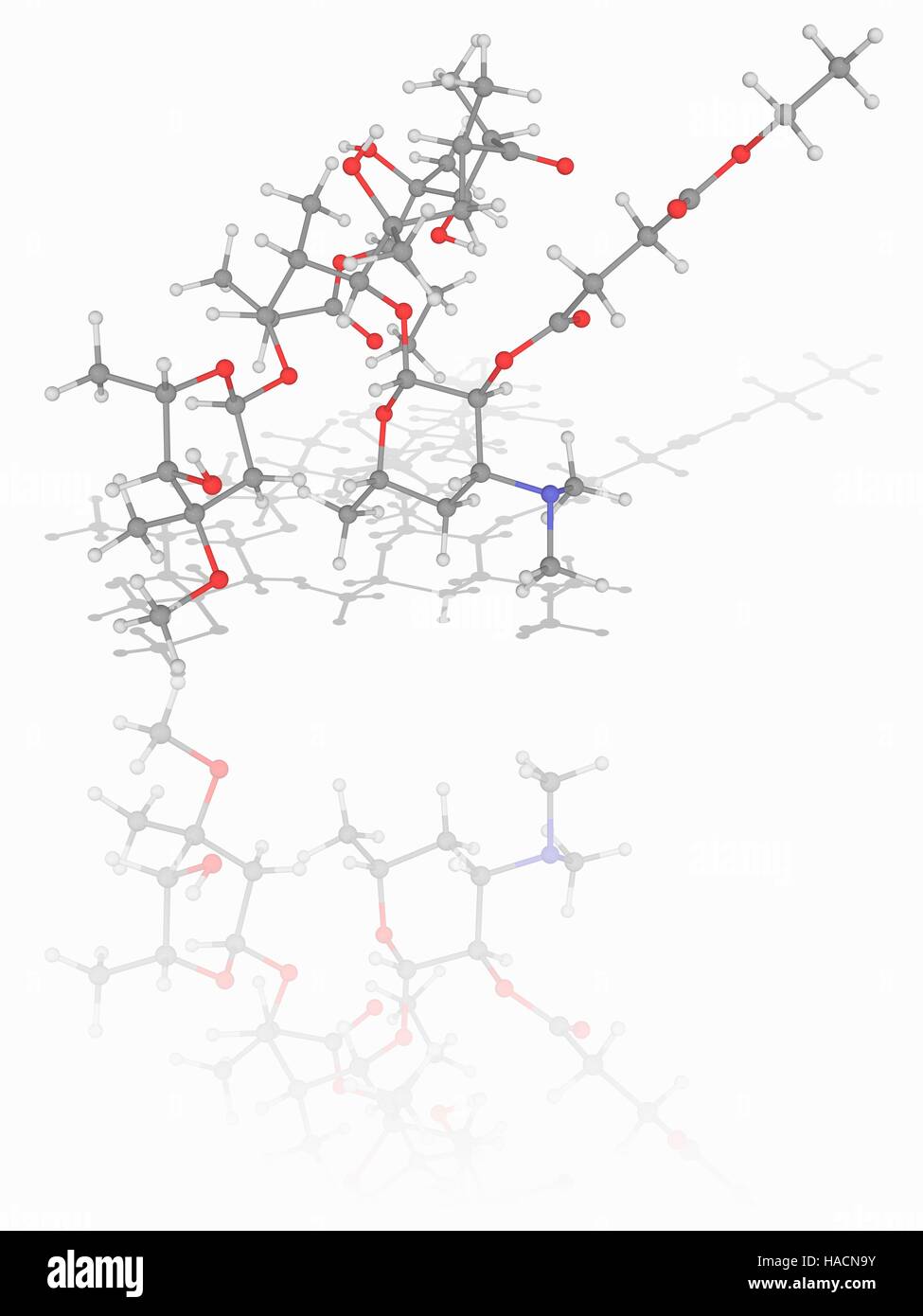 Erythromycin ethylsuccinate. Molecular model of the antibiotic drug ...