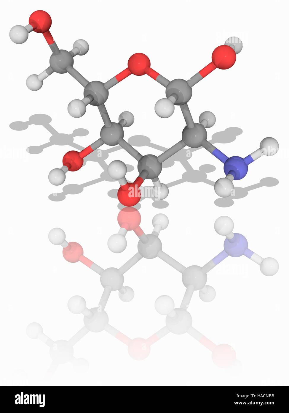 Glusosamine. Molecular model of the amino sugar glucosamine (C6.H13.N ...
