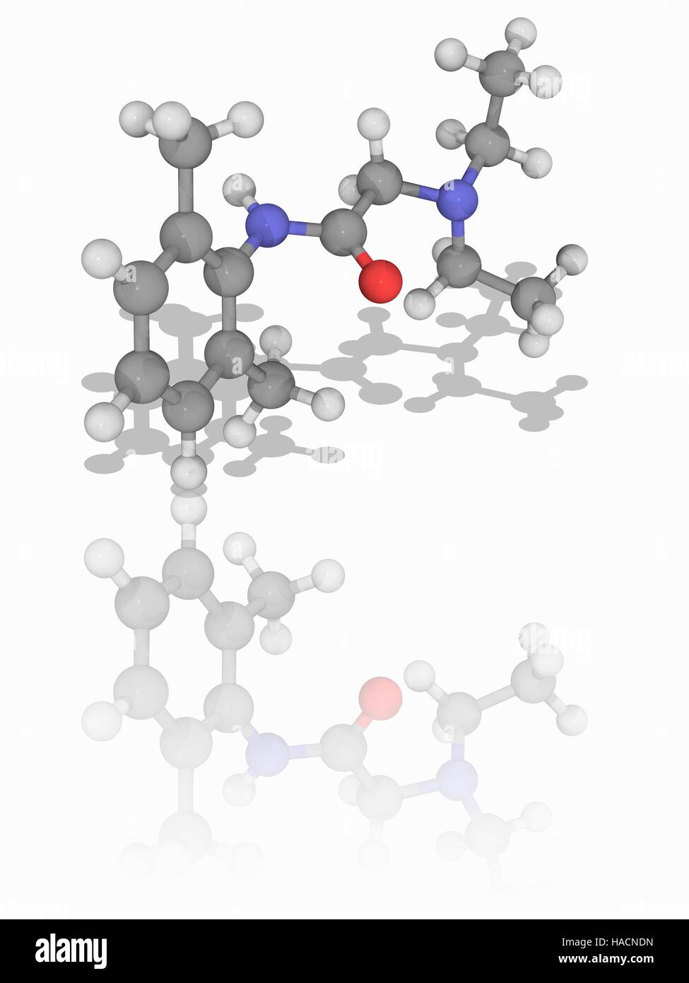 Lidocaine. Molecular model of the drug lidocaine (C14.H22.N2.O), used ...