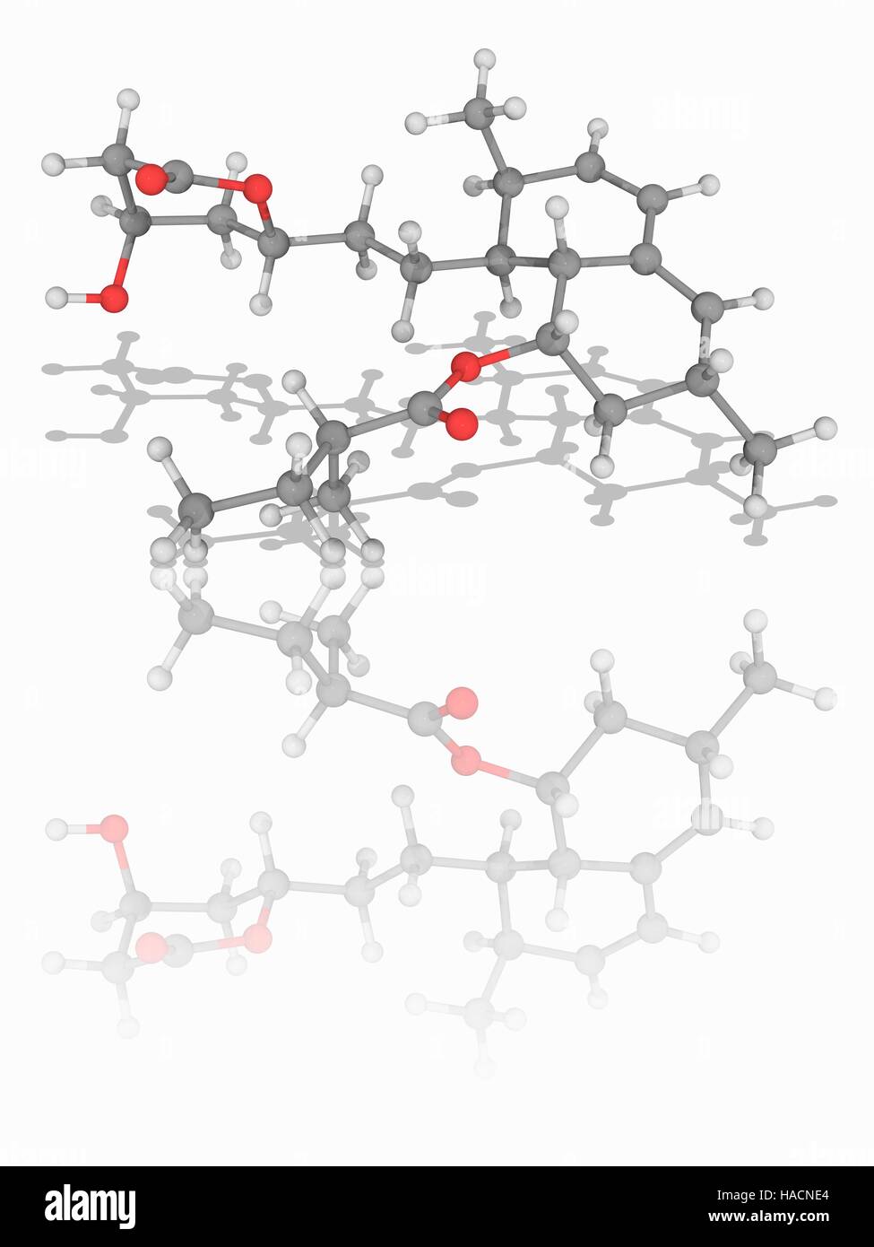 Abnormal lipids hi-res stock photography and images - Alamy