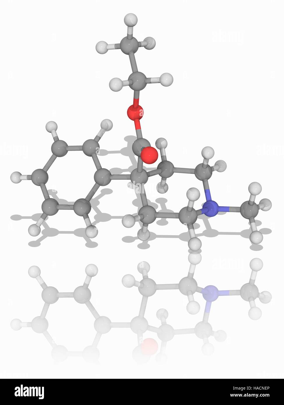 Meperidine. Molecular model of the drug meperidine (C15.H21.N.O2), also ...
