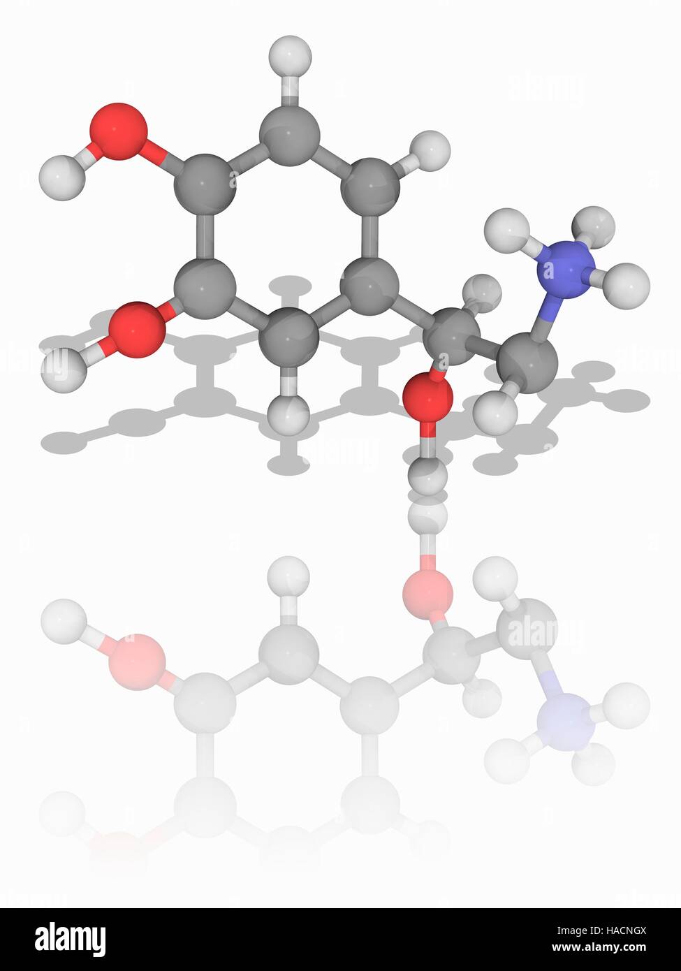 Noradrenaline norepinephrine molecule hi-res stock photography and ...