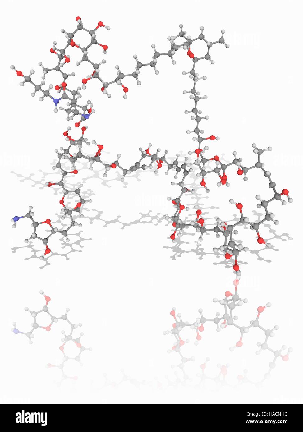Oxygen species molecule hi-res stock photography and images - Alamy