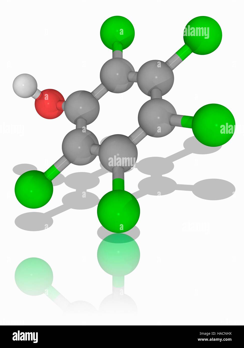 Pentachlorophenol. Molecular model of the organochlorine compound ...
