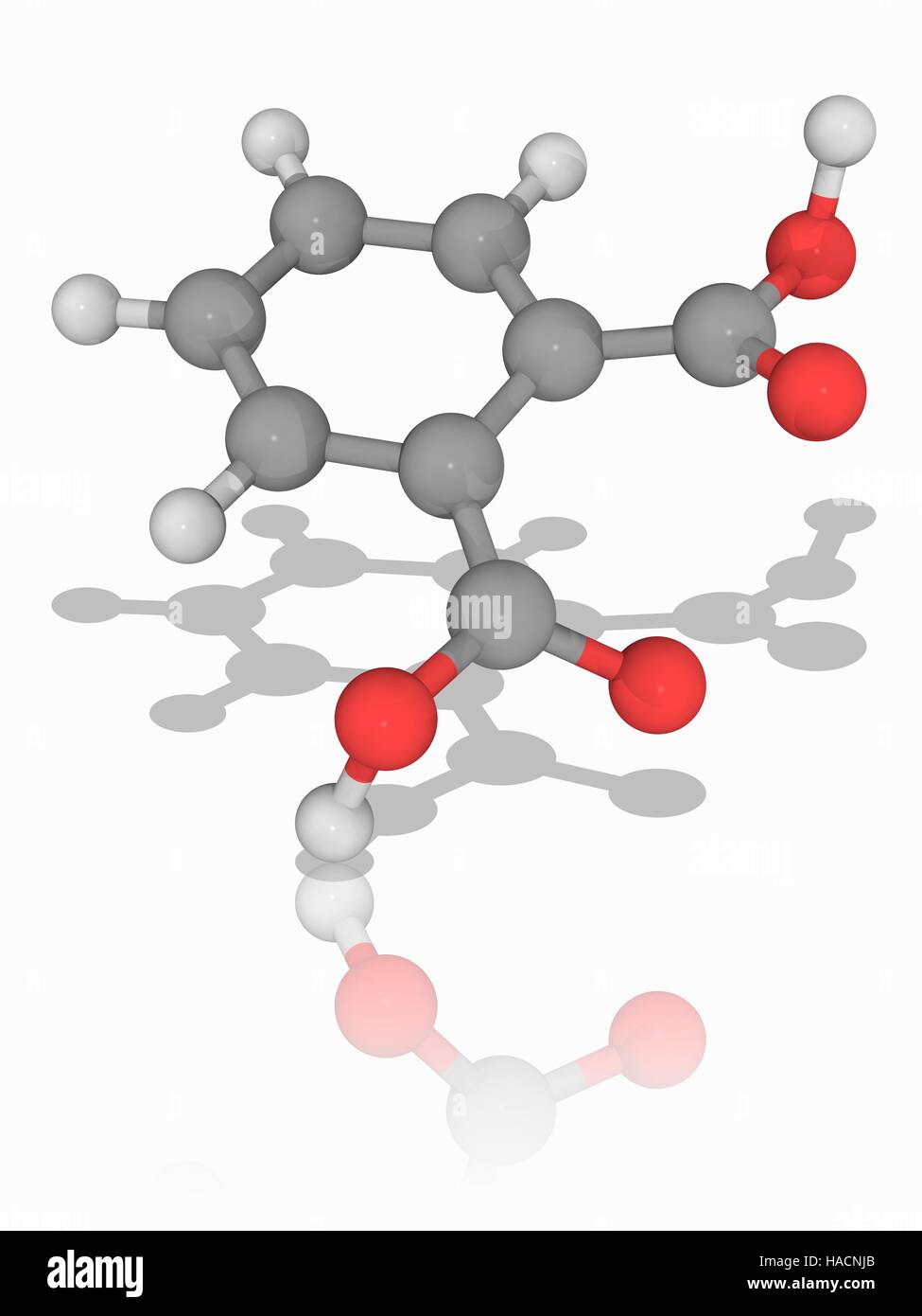 Phthalic acid. Molecular model of the aromatic compound phtalic acid ...