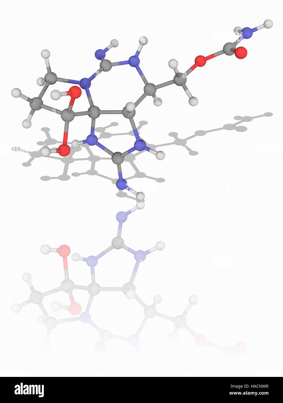 Saxitoxin. Molecular model of the neurotoxin saxitoxin (C10.H17.N7.O4 ...