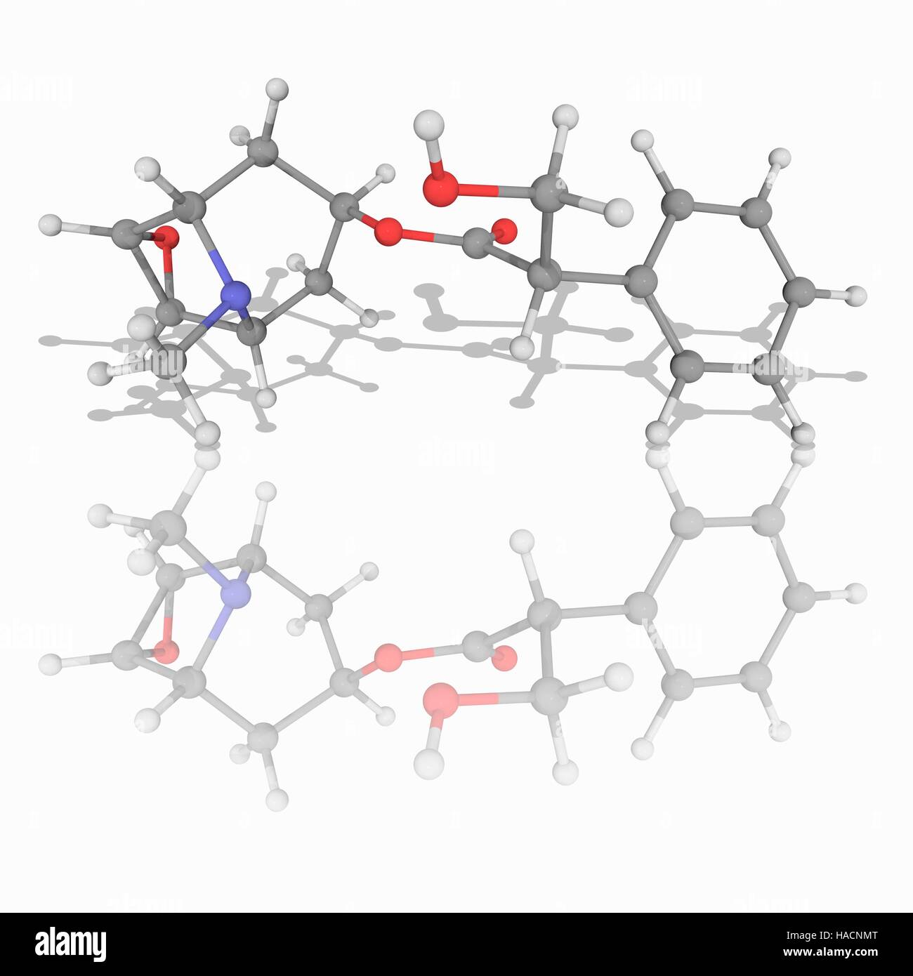 Scopolamine. Molecular model of the tropane alkaloid drug scopolamine ...