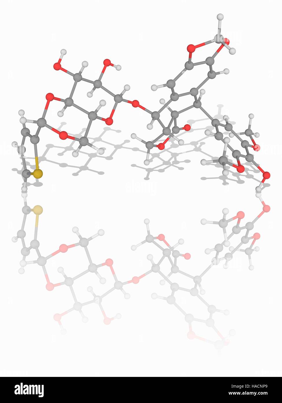 Teniposide. Molecular model of the chemotherapy drug teniposide (C32 ...