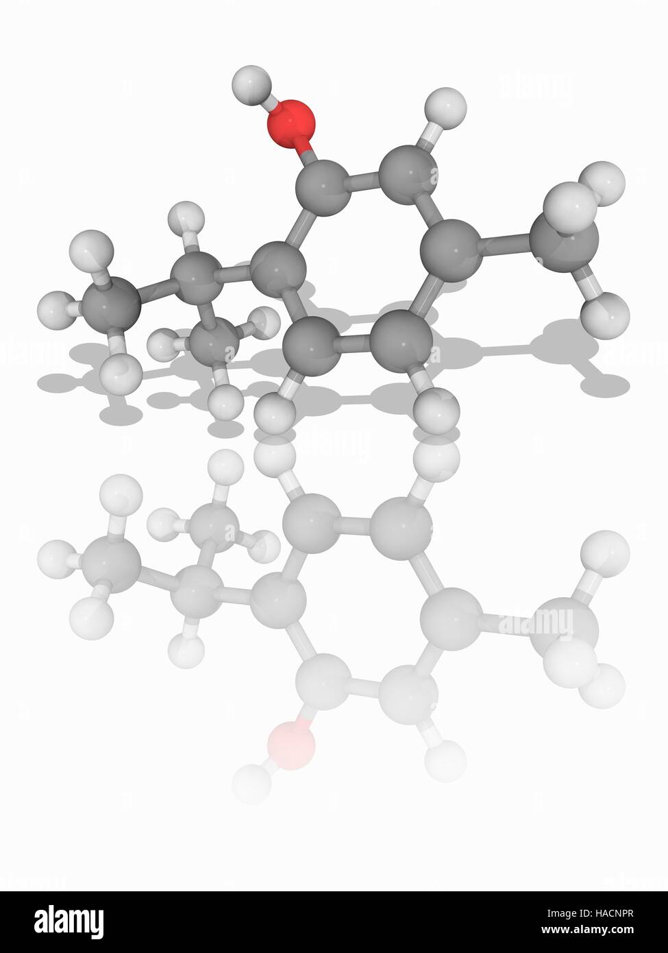 Thyme illustration Cut Out Stock Images & Pictures - Alamy