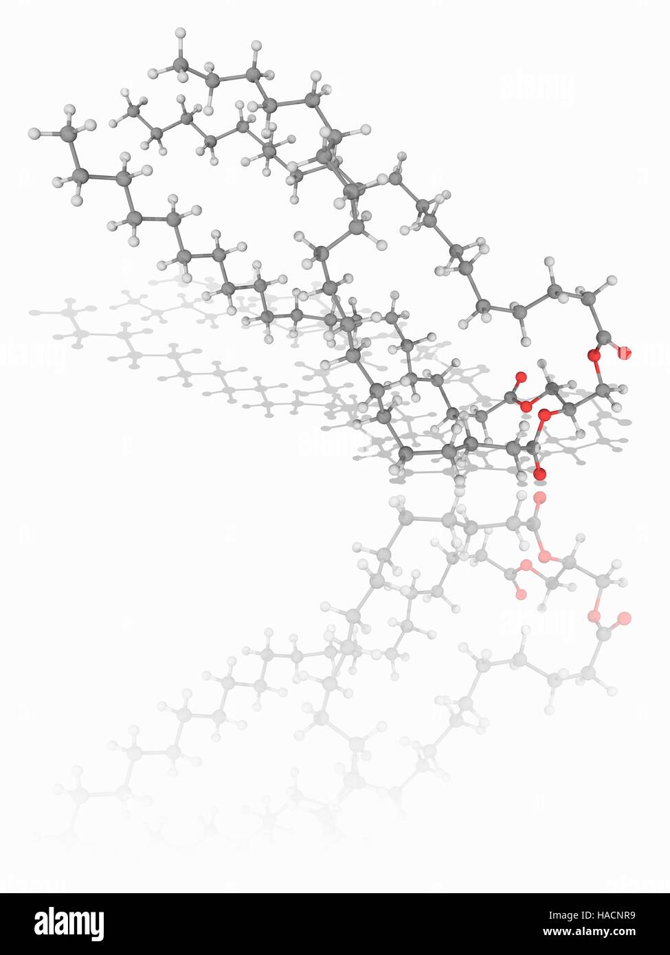 Triglycerides 3d Structure 42 Triglyceride Molecule Stock Photos,