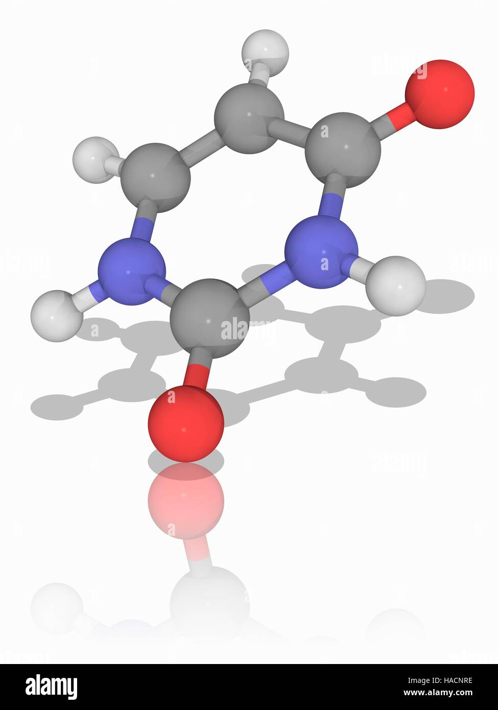Uracil molecular model of uracil c4 h4 n2 o2 hi-res stock photography ...