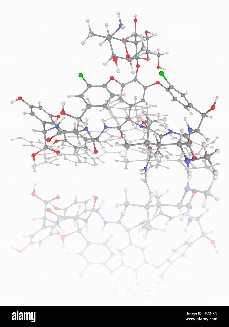 Vancomycin. Molecular model of the drug vancomycin (C66.H75.Cl2.N9.O24 ...
