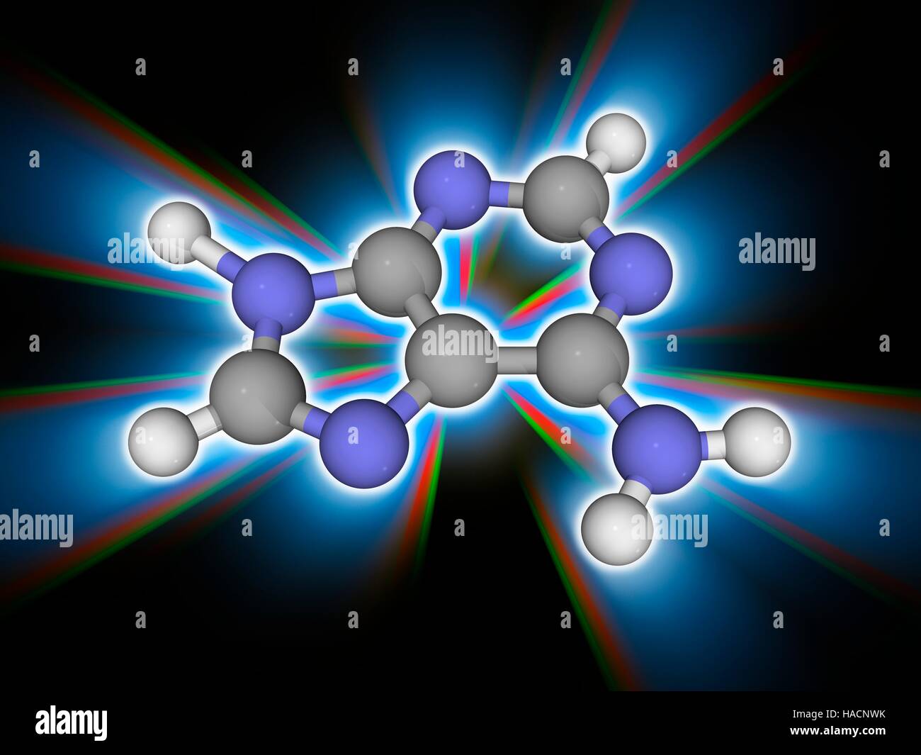 Molecular Structure Of Purine