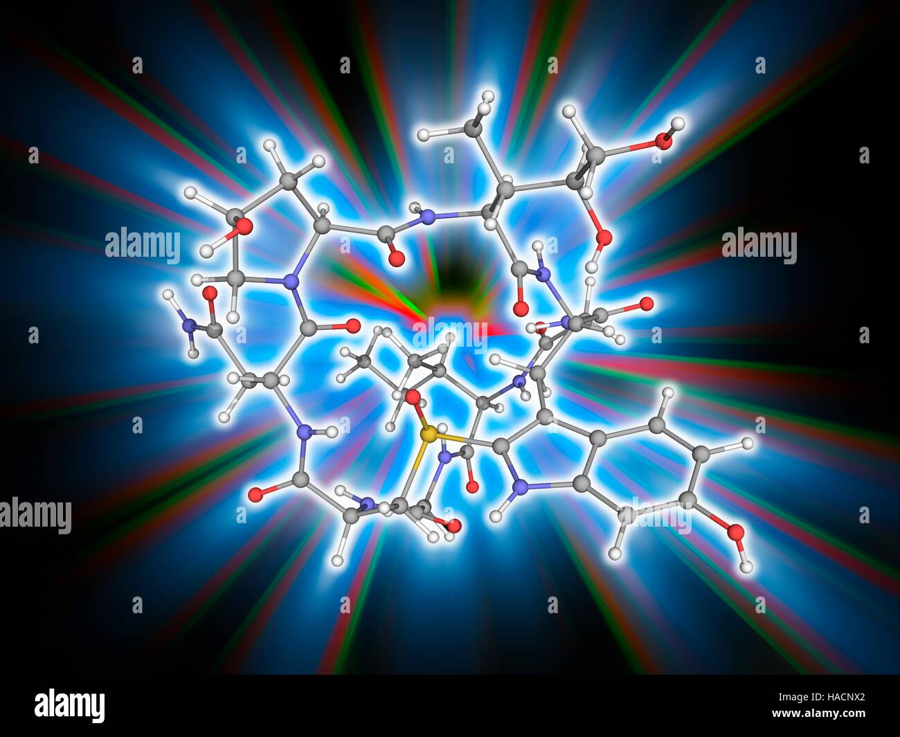 Alpha amanitin toxin hi-res stock photography and images - Alamy