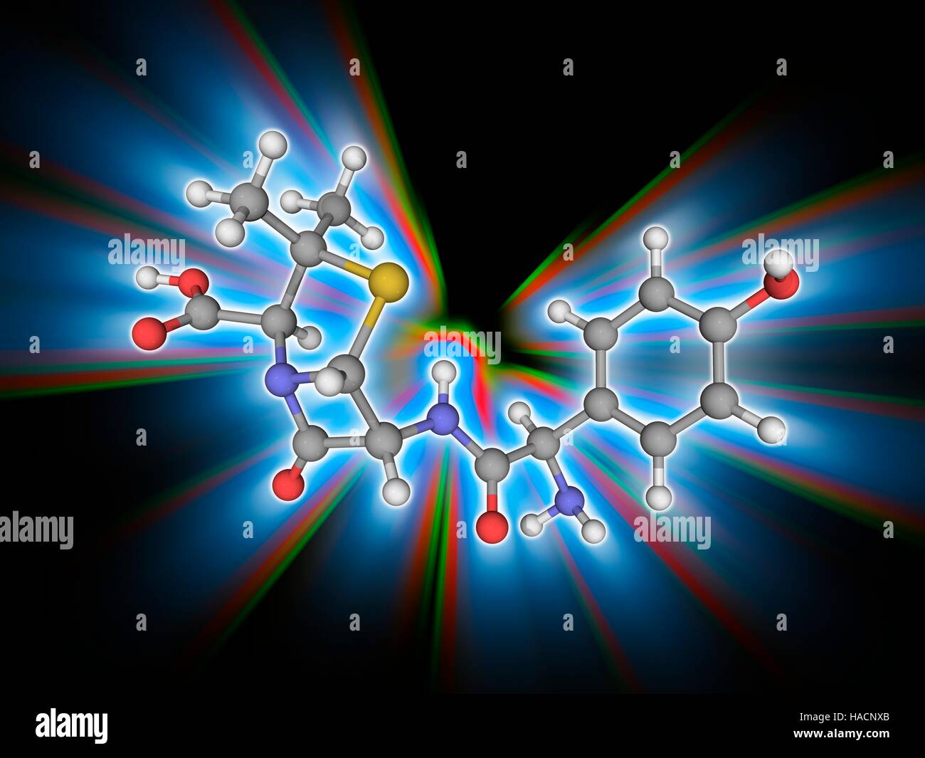 Amoxicillin. Molecular model of the moderate-spectrum, bacteriolytic ...