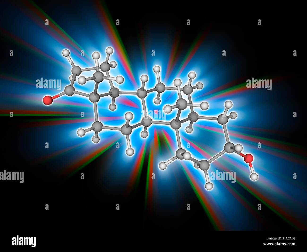 Testosterone molecular model hi-res stock photography and images - Alamy
