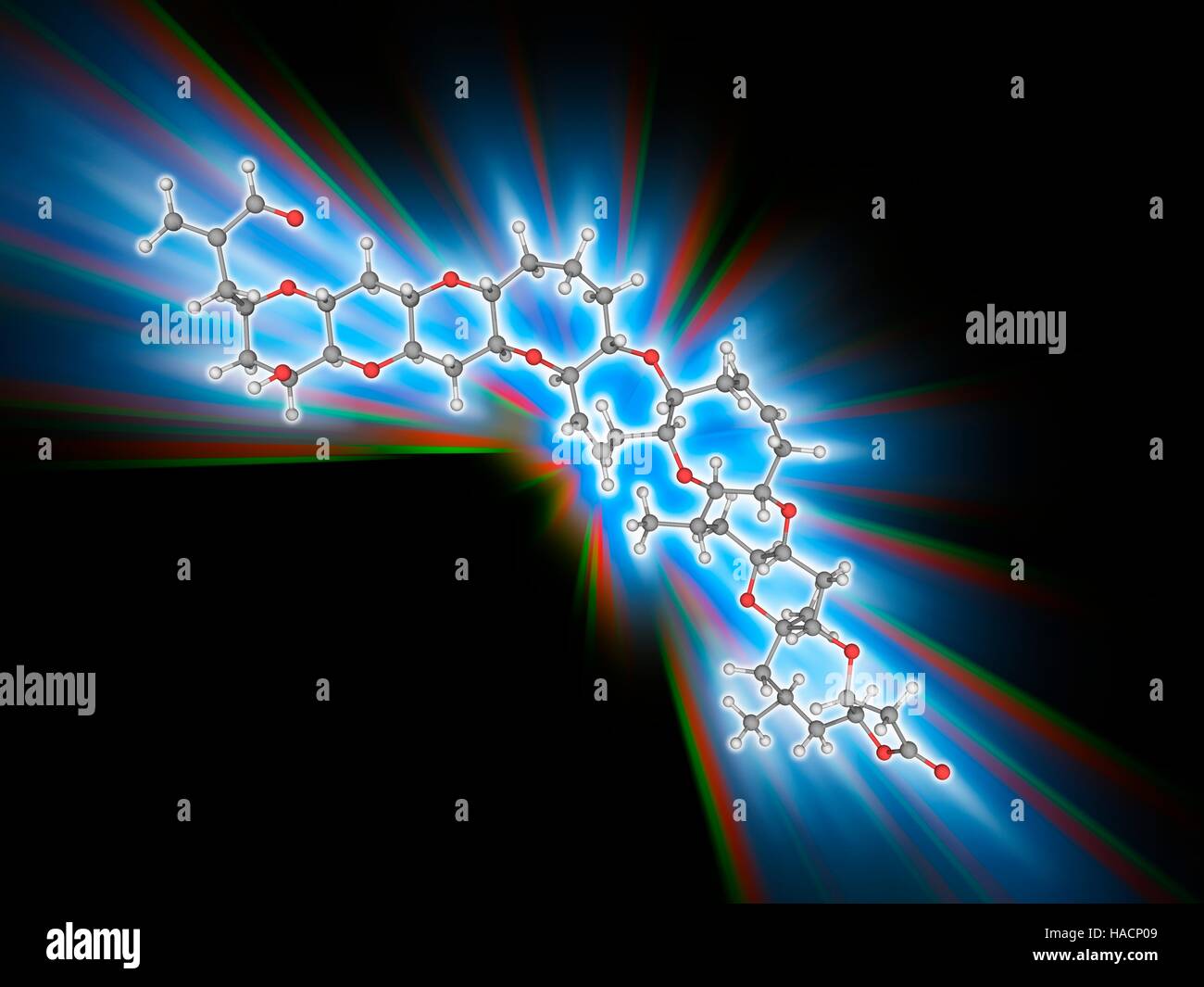 Brevetoxin. Molecular model of the neurotoxin brevetoxin (C50.H70.O14 ...
