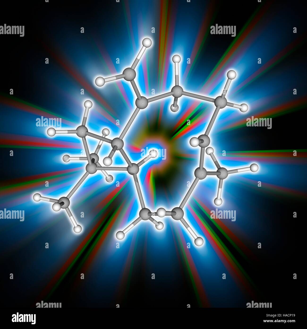 Caryophyllene. Molecular model of the sesquiterpene caryophyllene (C15 ...