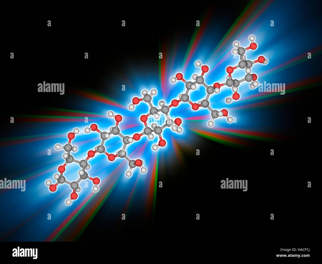 Cellulose strand. Molecular model of five base units of the ...