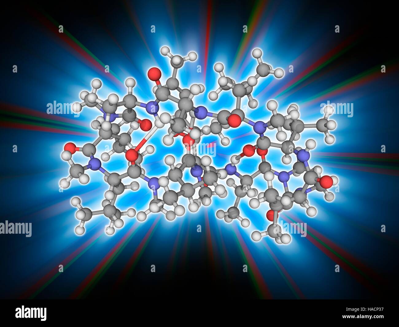 Ciclosporin. Molecular model of the immunosuppressant drug ciclosporin ...