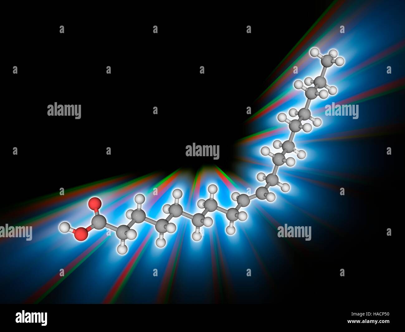 Elaidic acid. Molecular model of the major trans fat chemical elaidic ...