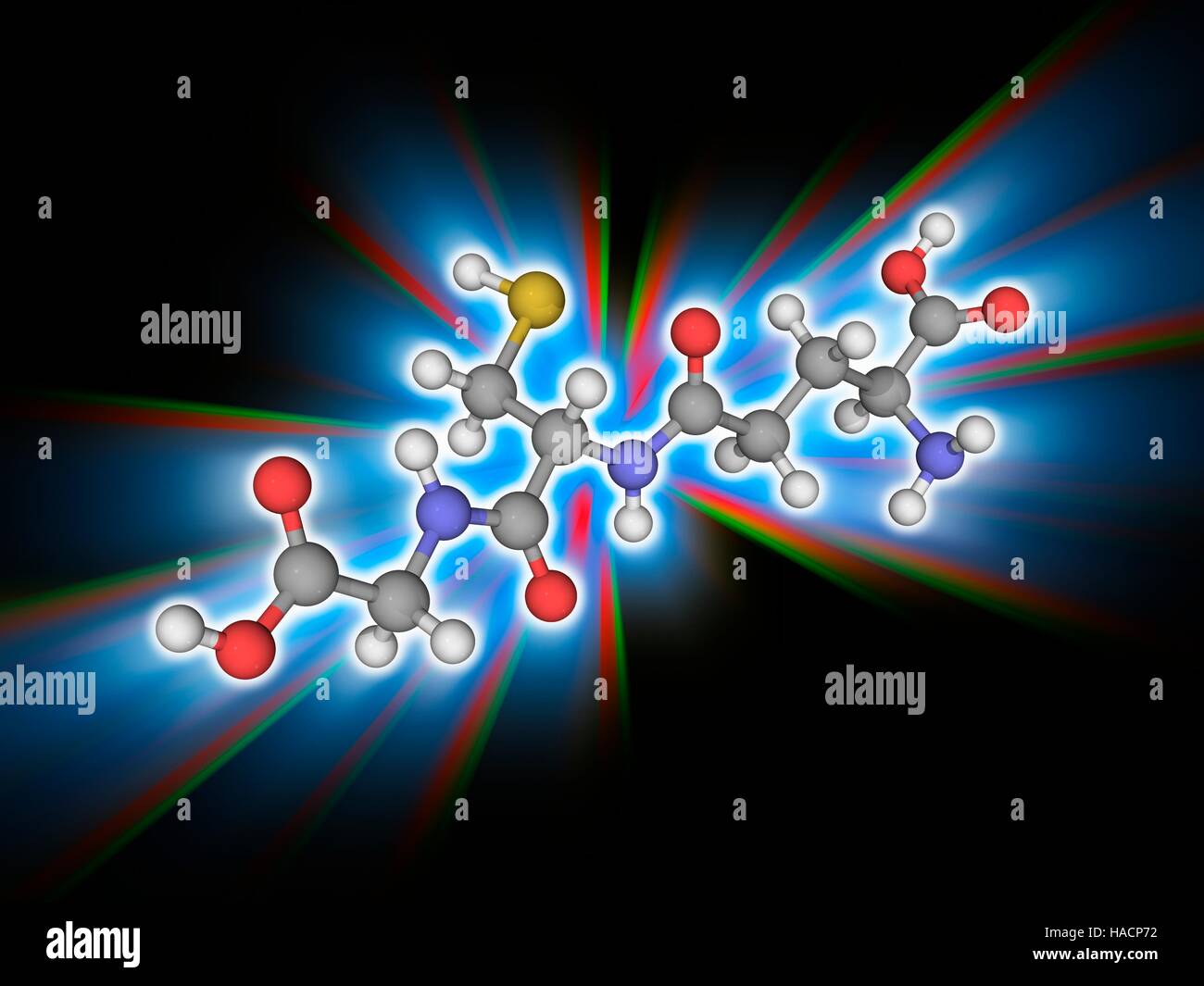 Glutathione. Molecular model of the peptide thiol and antioxidant ...