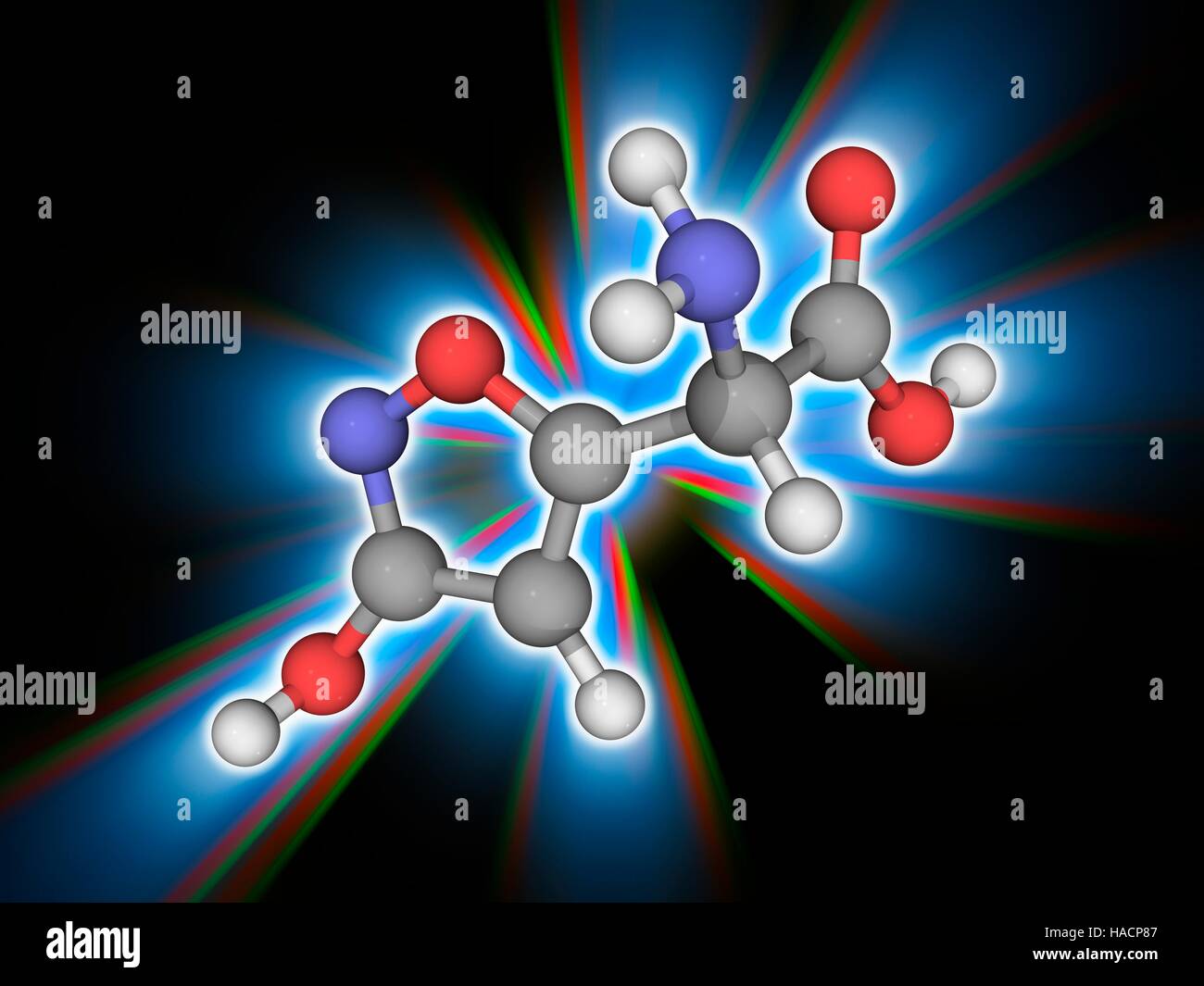 Ibotenic acid hi-res stock photography and images - Alamy