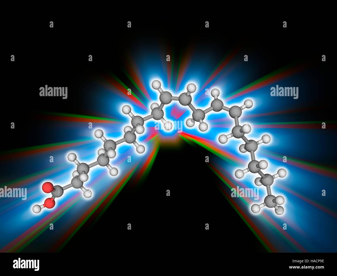 Linoleic acid. Molecular model of the polyunsaturated fatty acid ...