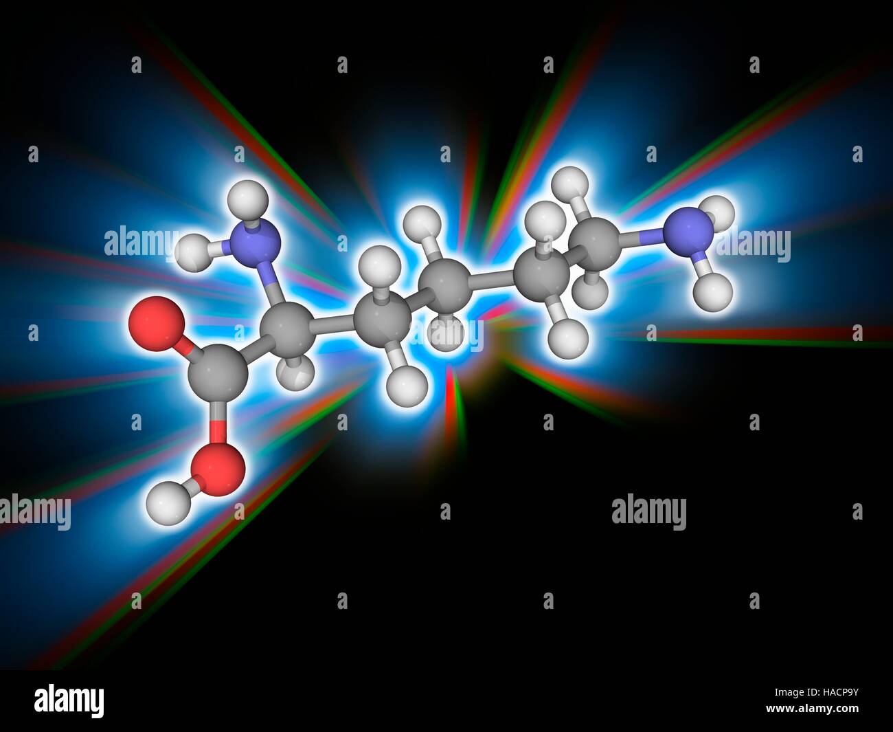 Lysine. Molecular model of the essential alpha-amino acid lysine (C6 ...