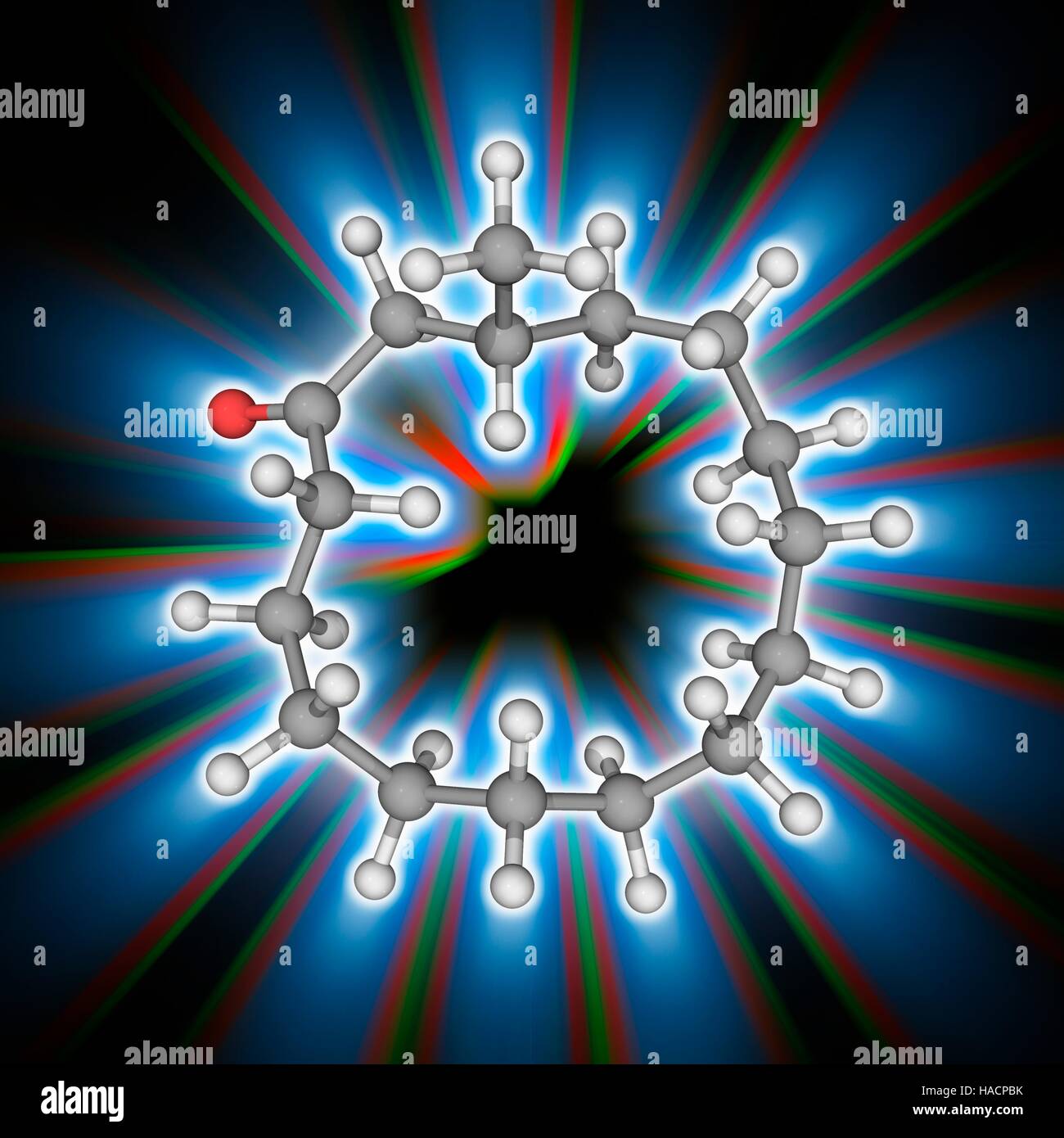 Muscone. Molecular model of the organic compound muscone (C16.H30.O), a ...