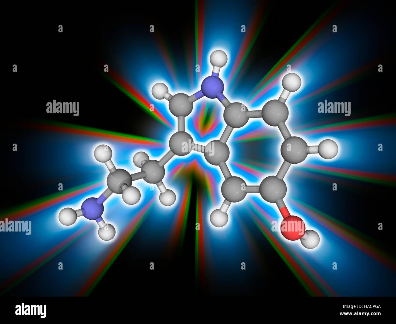 Neurotransmitter serotonin hi-res stock photography and images - Alamy