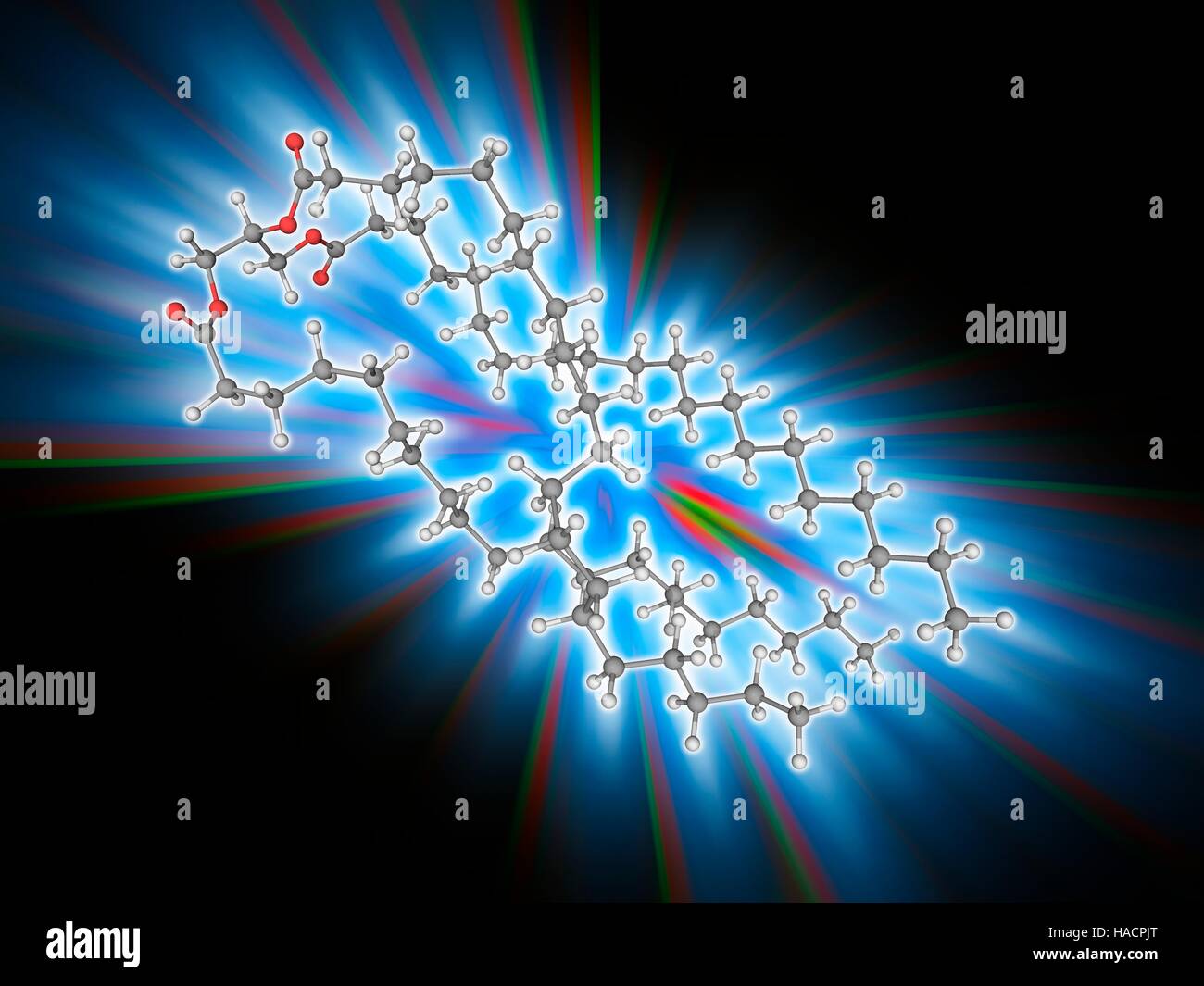 Glycerol triarachidate molecule. Molecular model of the triglyceride ...