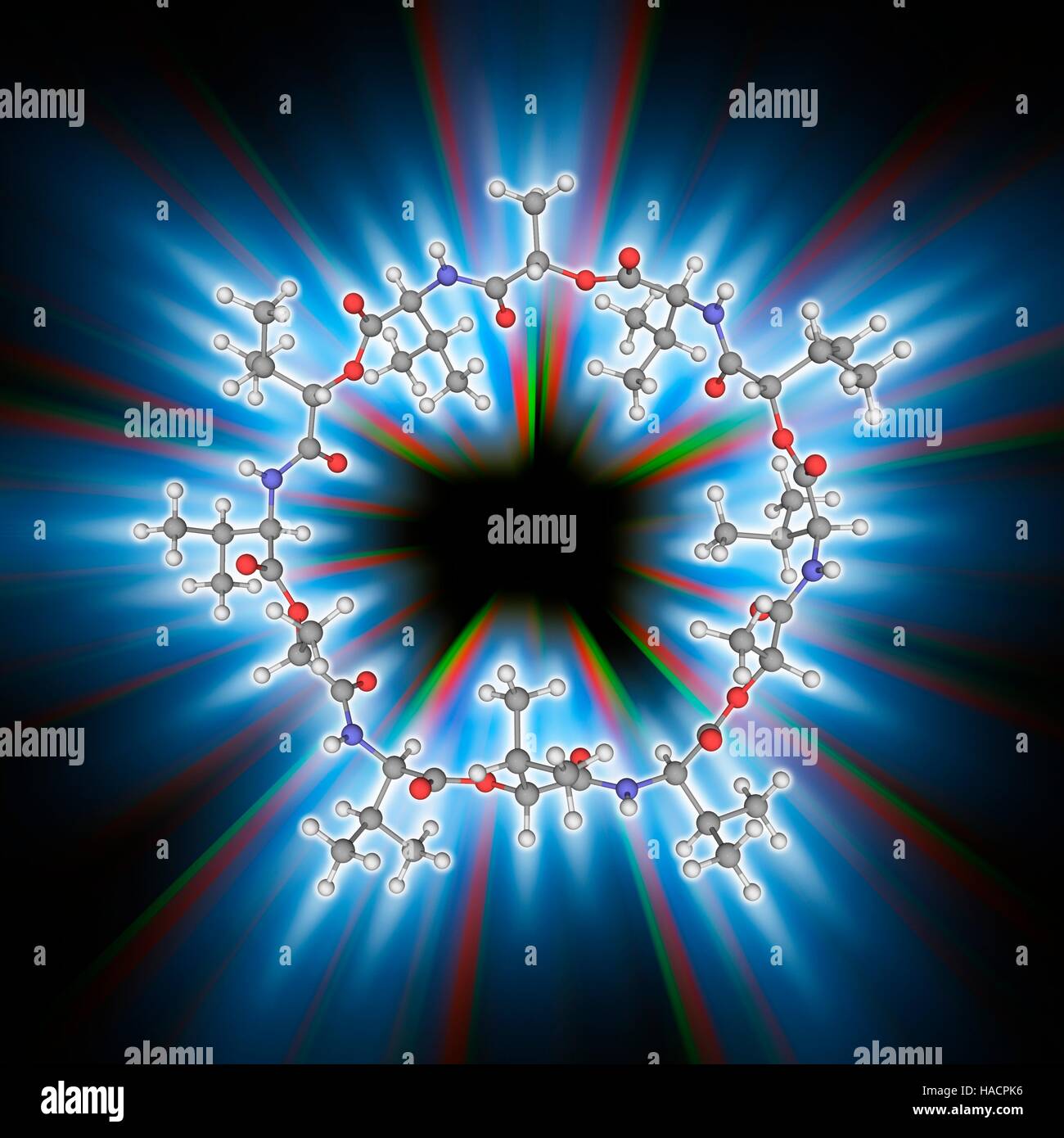 Valinomycin. Molecular model of the antibiotic drug valinomycin (C54 ...