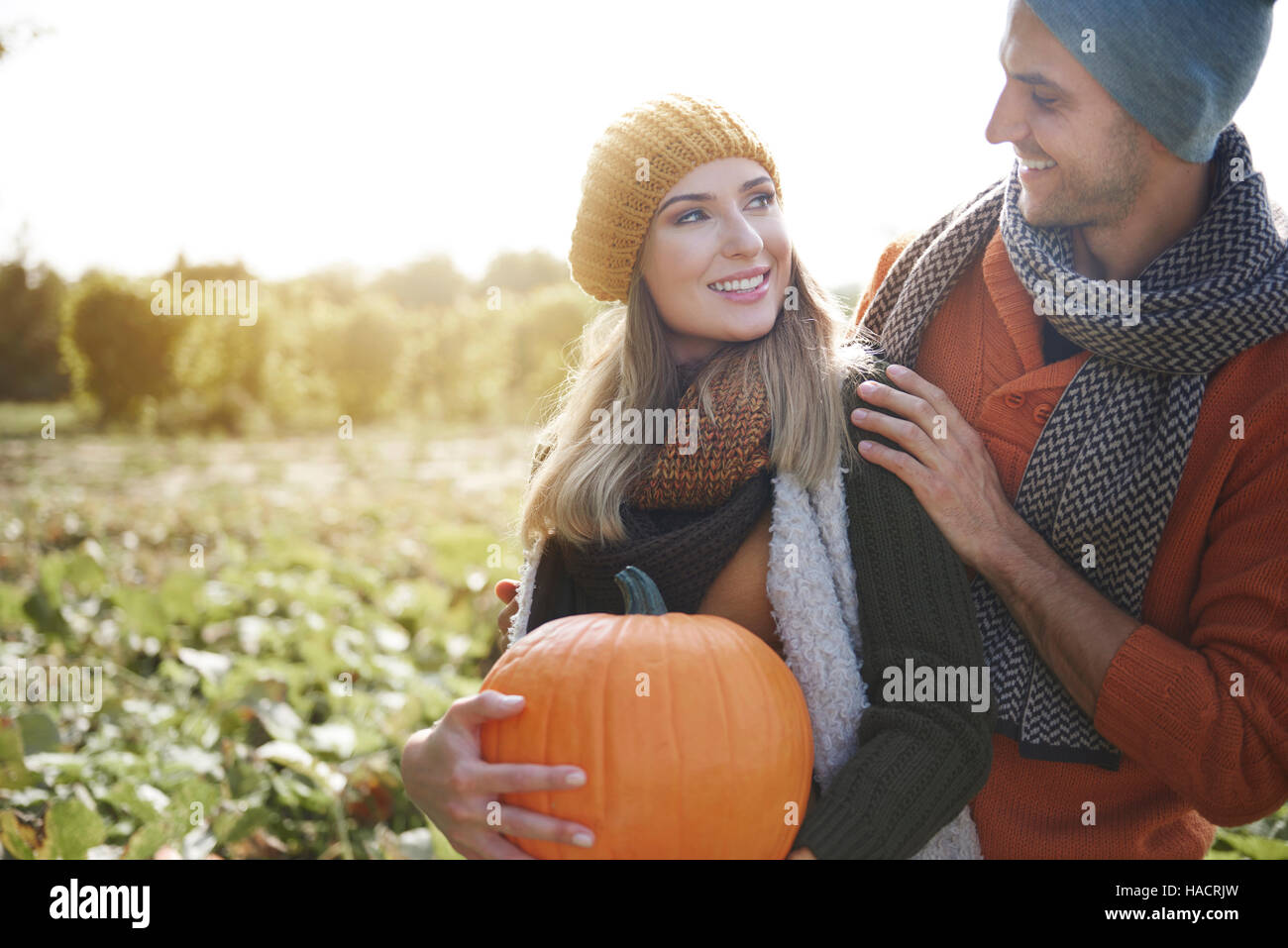 Pumpkin love couple not illustration hi-res stock photography and ...