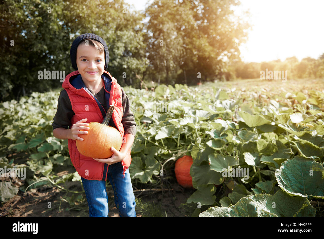 Boy with pumpkin hi-res stock photography and images - Alamy