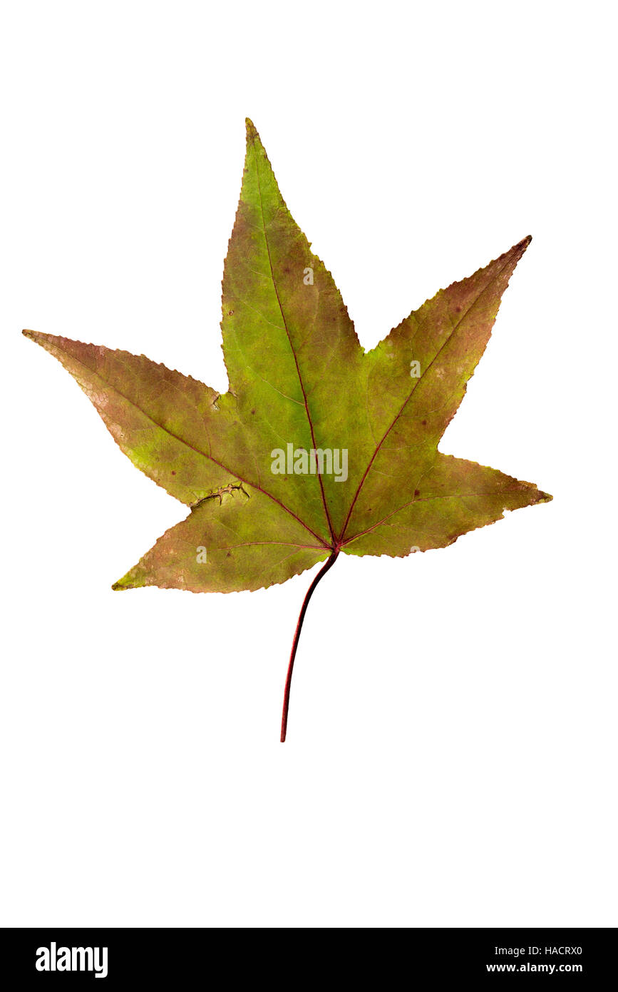 Texture textures shape shapes Cut Out Stock Images & Pictures - Alamy