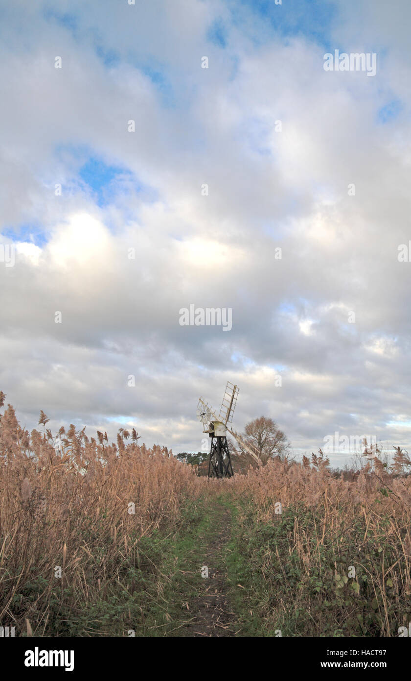 A footpath by the River Ant leading to Boardman's Drainage Windmill ...
