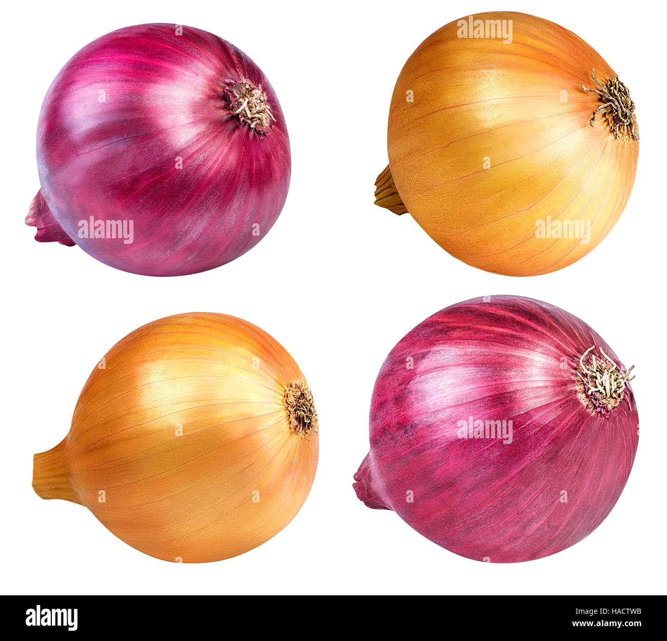 onions isolated on white background Stock Photo - Alamy