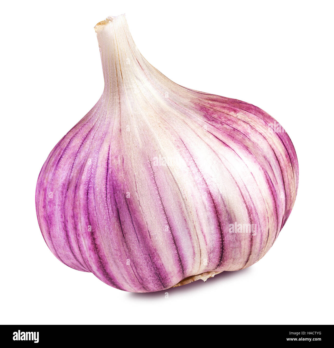 garlic isolated on white background Stock Photo - Alamy