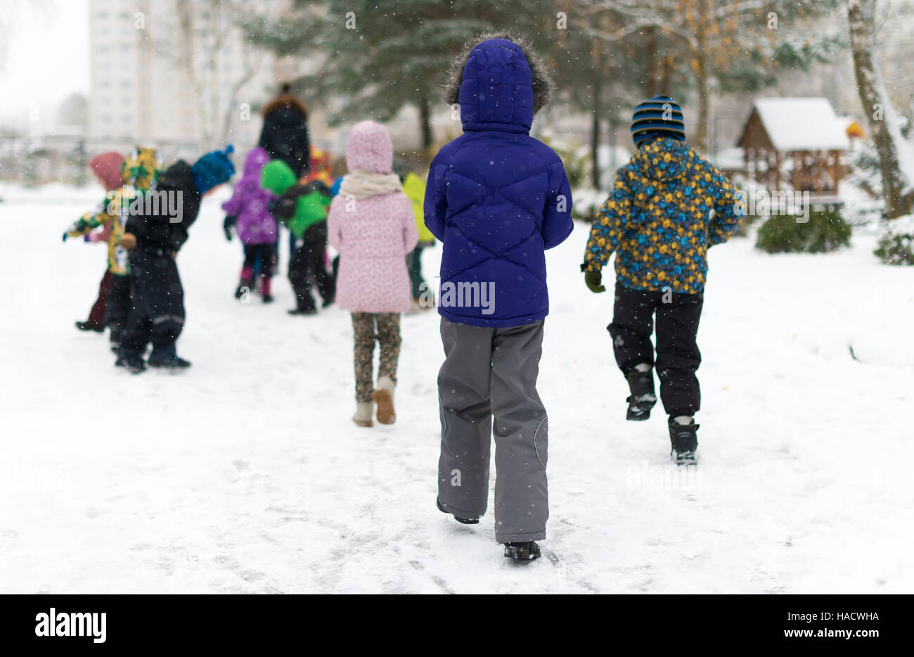 Children on walk in kindergarten in the winter Stock Photo - Alamy