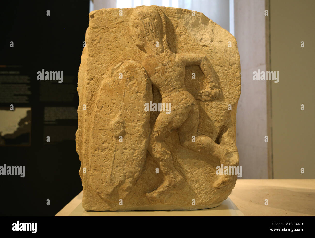 Caetra or iberian shield hi-res stock photography and images - Alamy