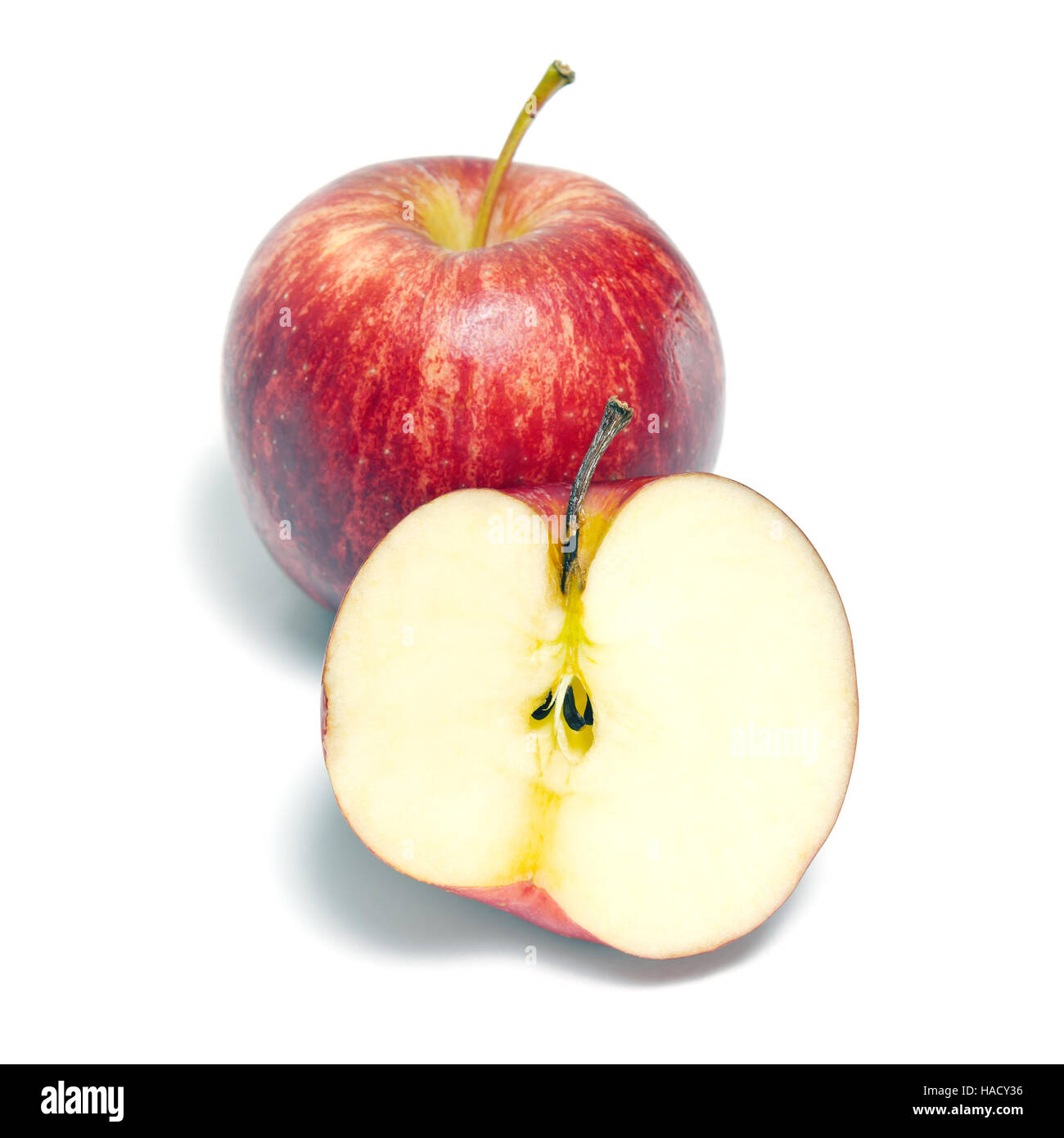 Apple close-up view isolated on white background (Other names are Malus ...